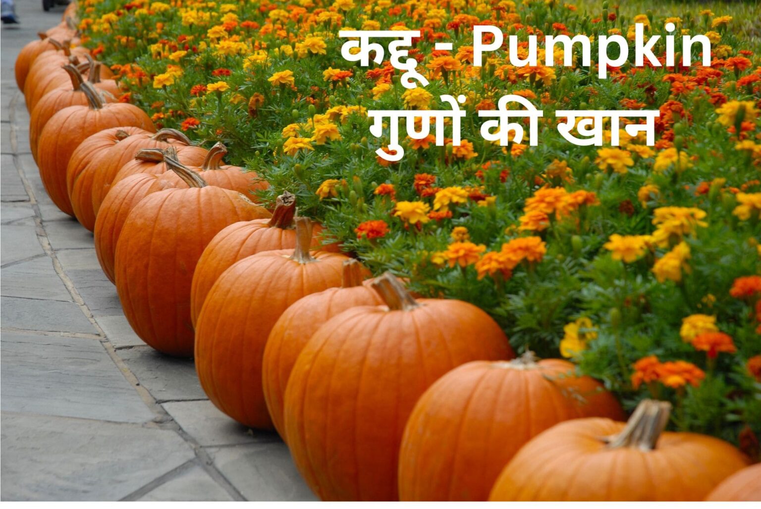 कद्दू के चमत्कारिक लाभ - Benefits of Pumpkins - YogHealthBeauty